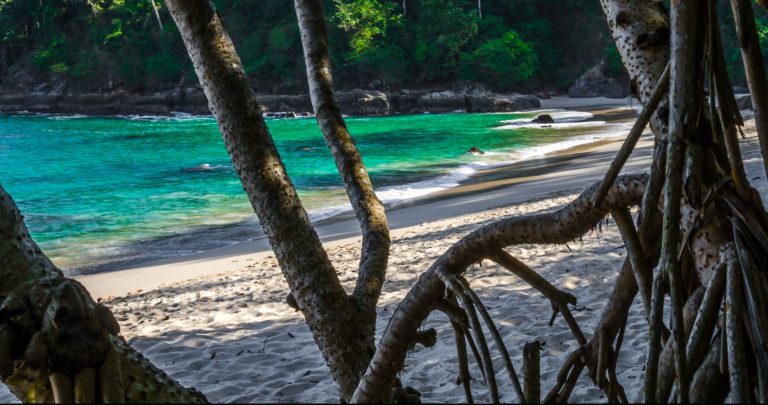 Sukamade Turtle Beach: A highlight of our Java trip - Bus stops & Flip ...